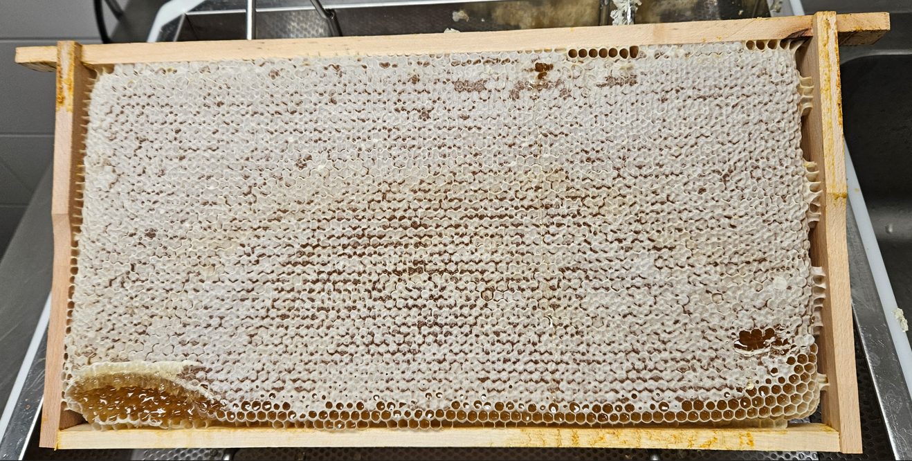 Pott Biene - Imkerei aus dem Ruhrgebiet